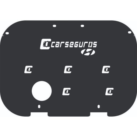 Protector Carter Hyundai H-1 Starex 2008 – Carseguros – Seguridad para ...